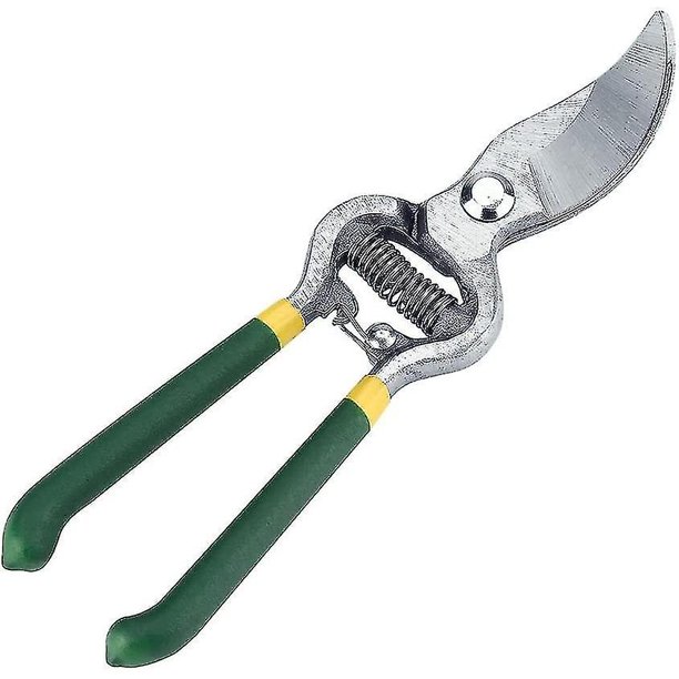 8 Inch Old-fashioned Fruit Branch Shears Integrated Pruning Shears ...