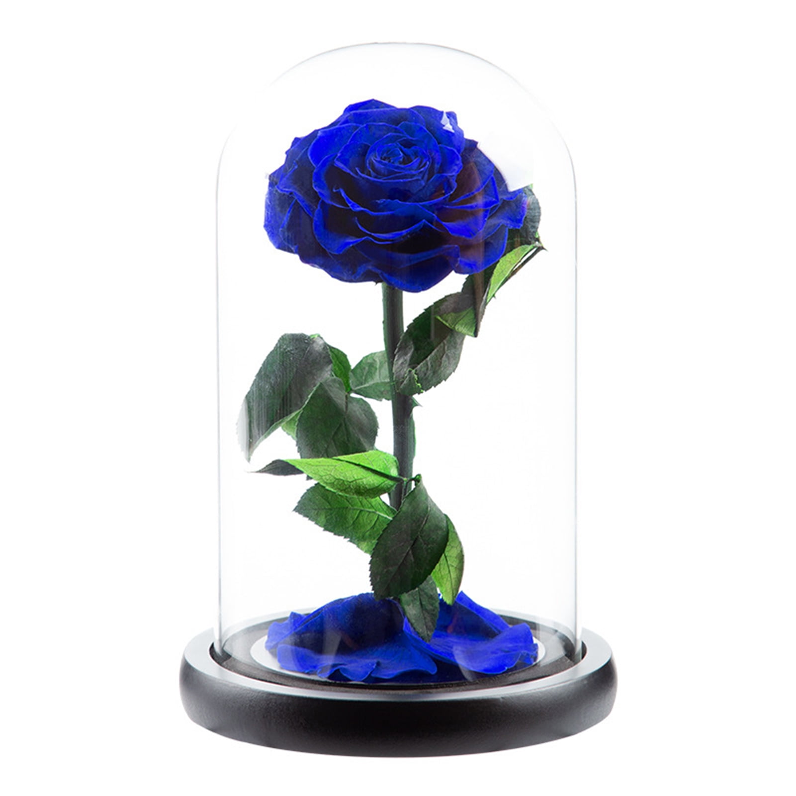 FaLX Romantic Aesthetic Artificial Eternal Rose Flower in Glass Dome ...