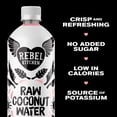 Rebel Kitchen Raw Coconut Water Natural Electrolytes 750ML, Imported ...