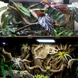 kathson Reptile Forest Climbing Branch Decor, Crested Gecko Climb Wood ...