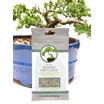 Bonsai Food Pellets by Perfect Plants - 5 Year Supply - All Natural ...