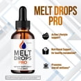 Melt Drops Pro Advanced Formula Drops to Support Active Lifestyle 30 ...