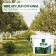 Long-Lasting Tree Whitewash Agent,White Whitewash Paint,White Tree ...