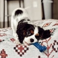 Nylabone Small Dog Chew Toys Pack, Durable Chewers, Flavored Ridges ...
