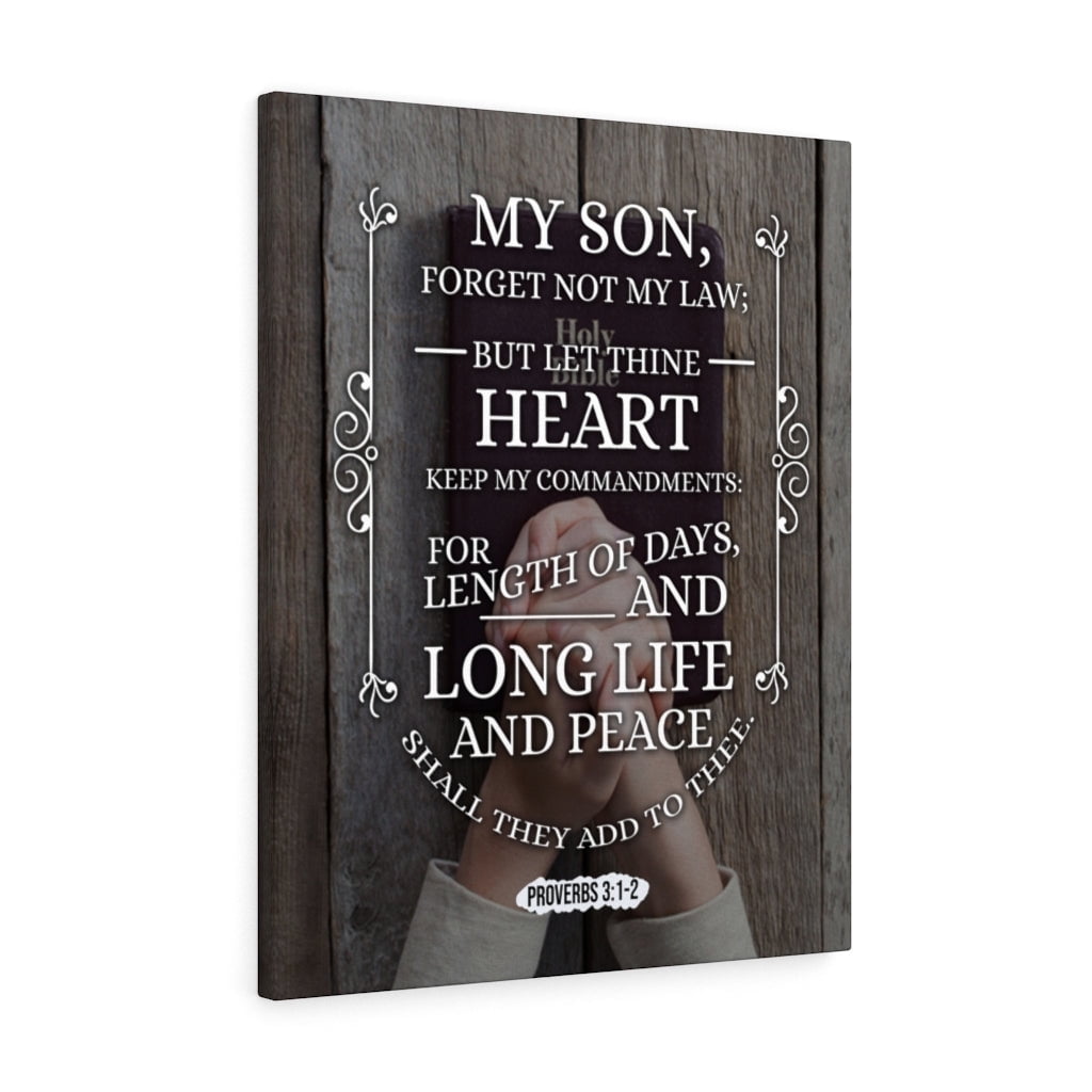 Scripture Walls Long Life and Peace Proverbs 3:1-2 Bible Verse Canvas ...
