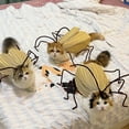 Feledorashia Funny Cat Cockroach Costume, DIY Kit with Antennae, Pet ...