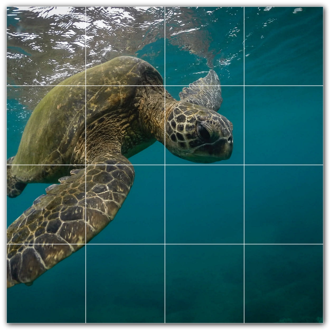Picture-Tiles.com: Turtle Ceramic Tile Wall Mural WAL501080-44L. 32"W x ...