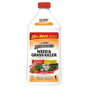 Brush Killer Liquid Concentrate - Herbicide for Unwanted Woody Plants ...