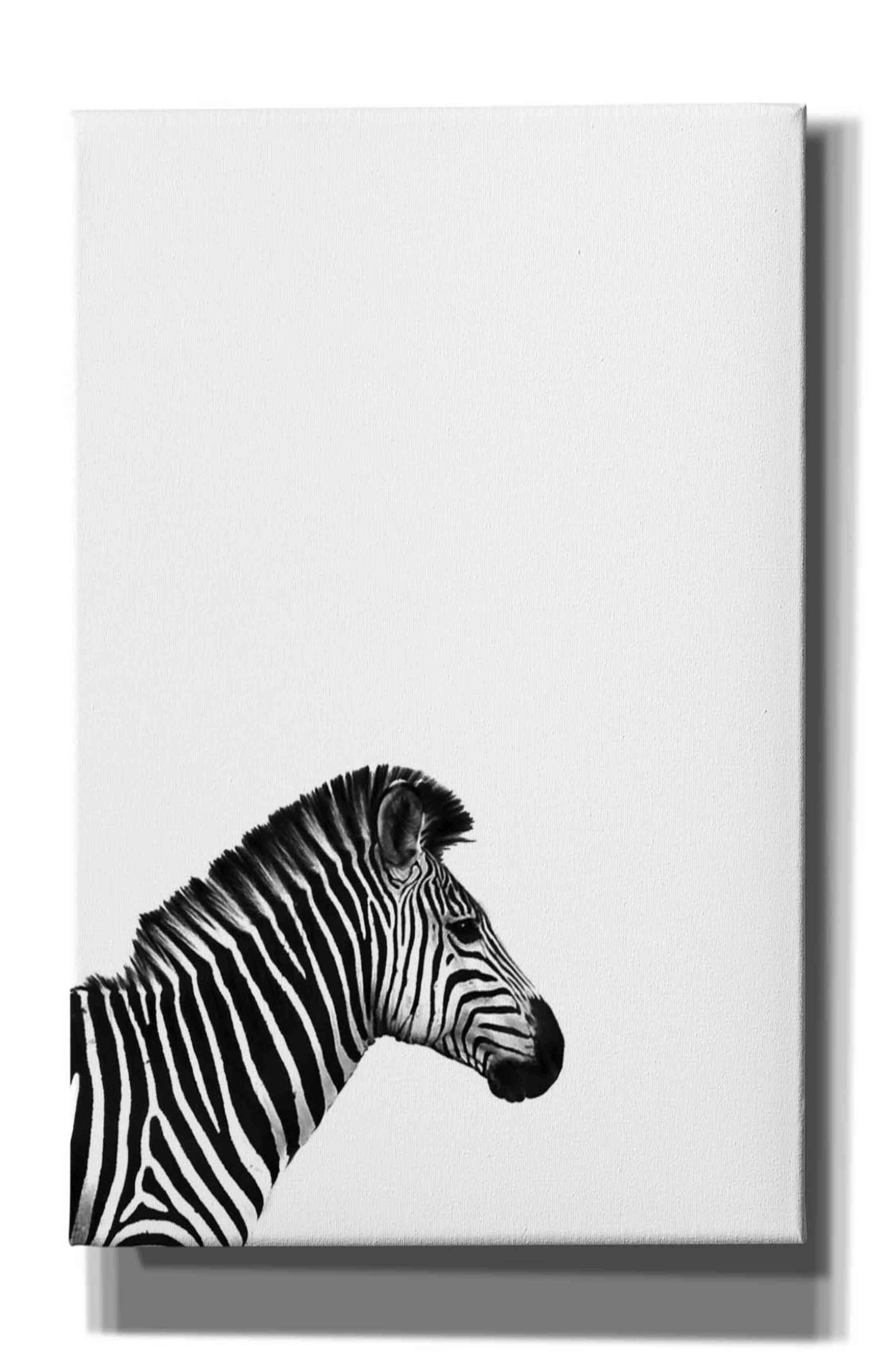 Epic Graffiti 'Zebra 2' by Incado, Giclee Canvas Wall Art, 26"x40 ...