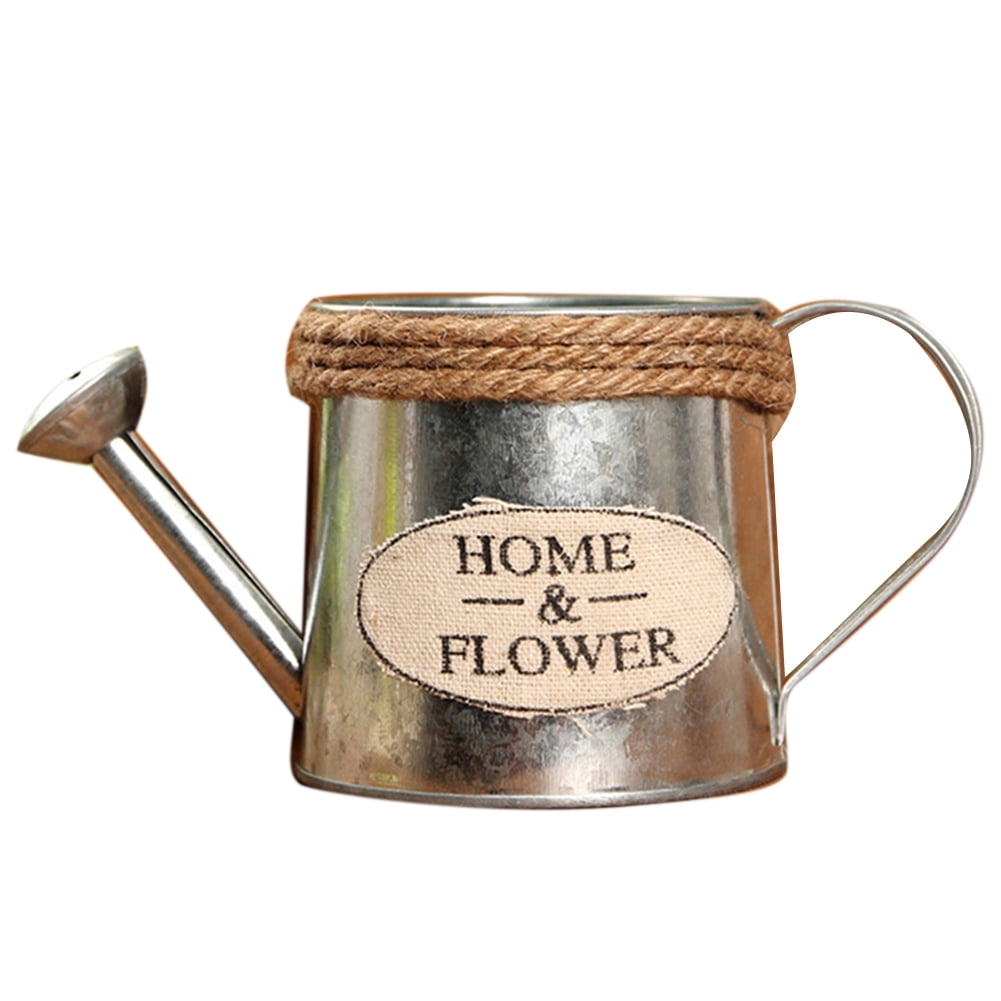 Rustic Mini Watering Can Planter, Metal Flower Pot Succulent Container ...