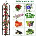 iMounTEK Garden Plant Trellis 2 Packs Garden Obelisk Trellis, Plants ...