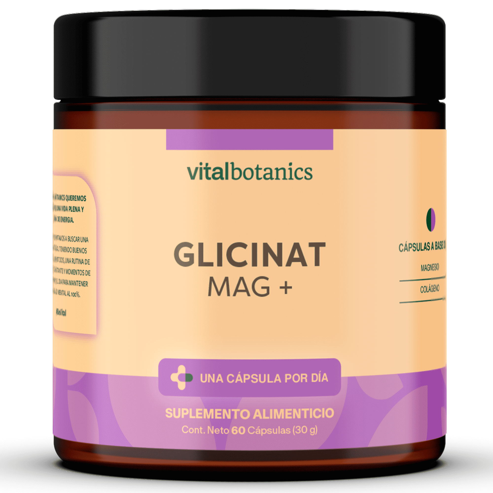 Glicinato de Magnesio 60 Cápsulas VITALBOTANICS GLCT_MGN_60 | Walmart ...