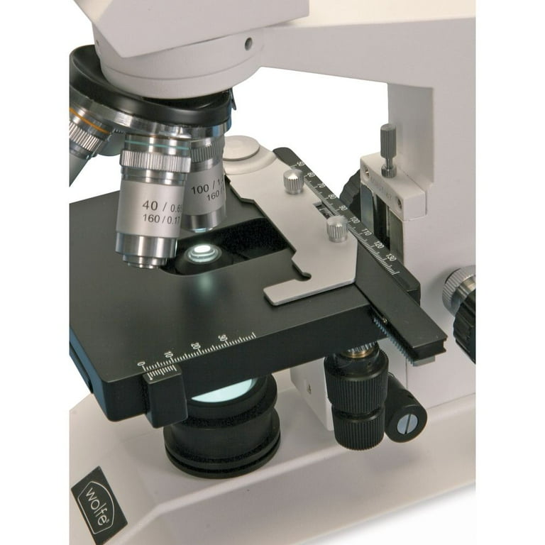 Xsz-107t Microscope Price Price | www.pinnaxis.com