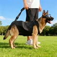Dog Support Sling for Rehabilitation and Mobility Assistance Pet Care ...