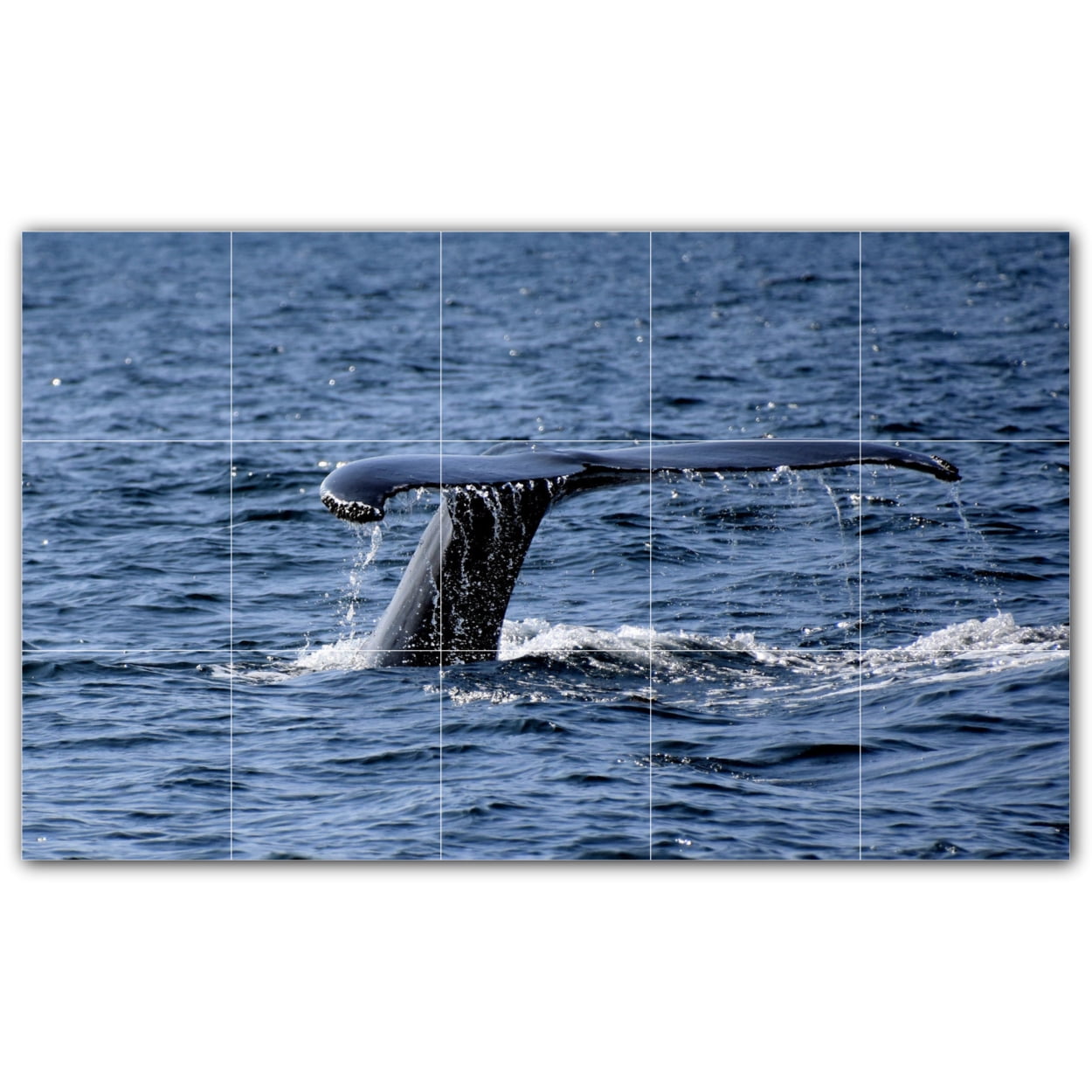 Picture-Tiles.com: Whale Ceramic Tile Wall Mural WAL501196-53XL. 60"W x ...