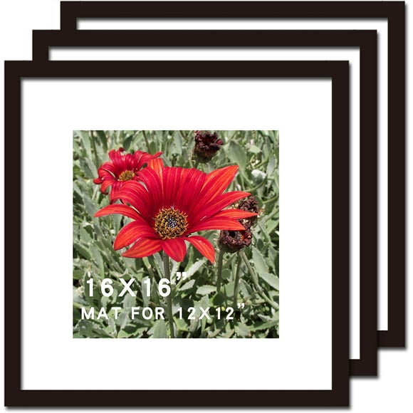 16x16 Frame Matted 12x12