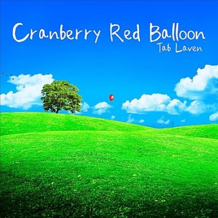 Cranberry Red Balloon - Walmart.ca