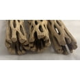 Cholla Wood 3 pc 12 inch Aquarium and Terrarium Decor - Walmart.com