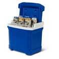IGLOO Profile II Hard Cooler 16 qt. - Thermecool Insulation - Walmart.com
