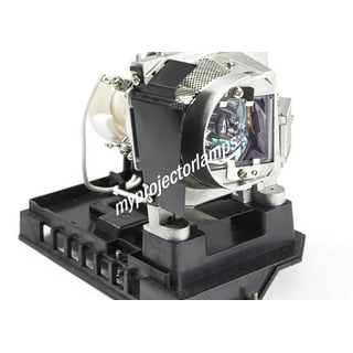 Dell 310-8290 Compatible Projector Lamp Module - Walmart.com