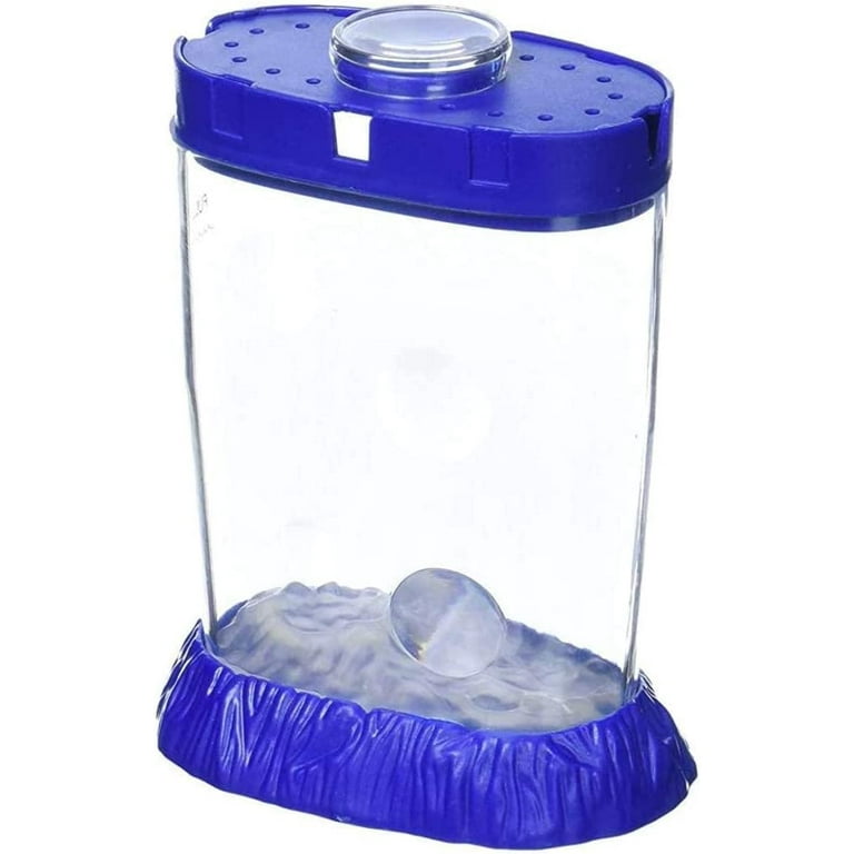 Sea Monkeys Kit Walmart