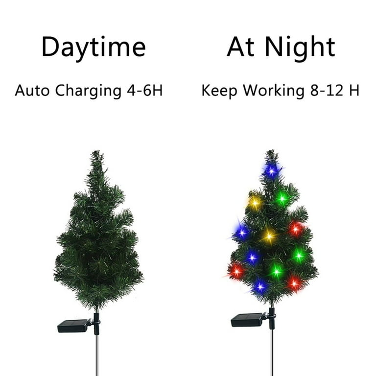 Christmas Tree Outside Daytime