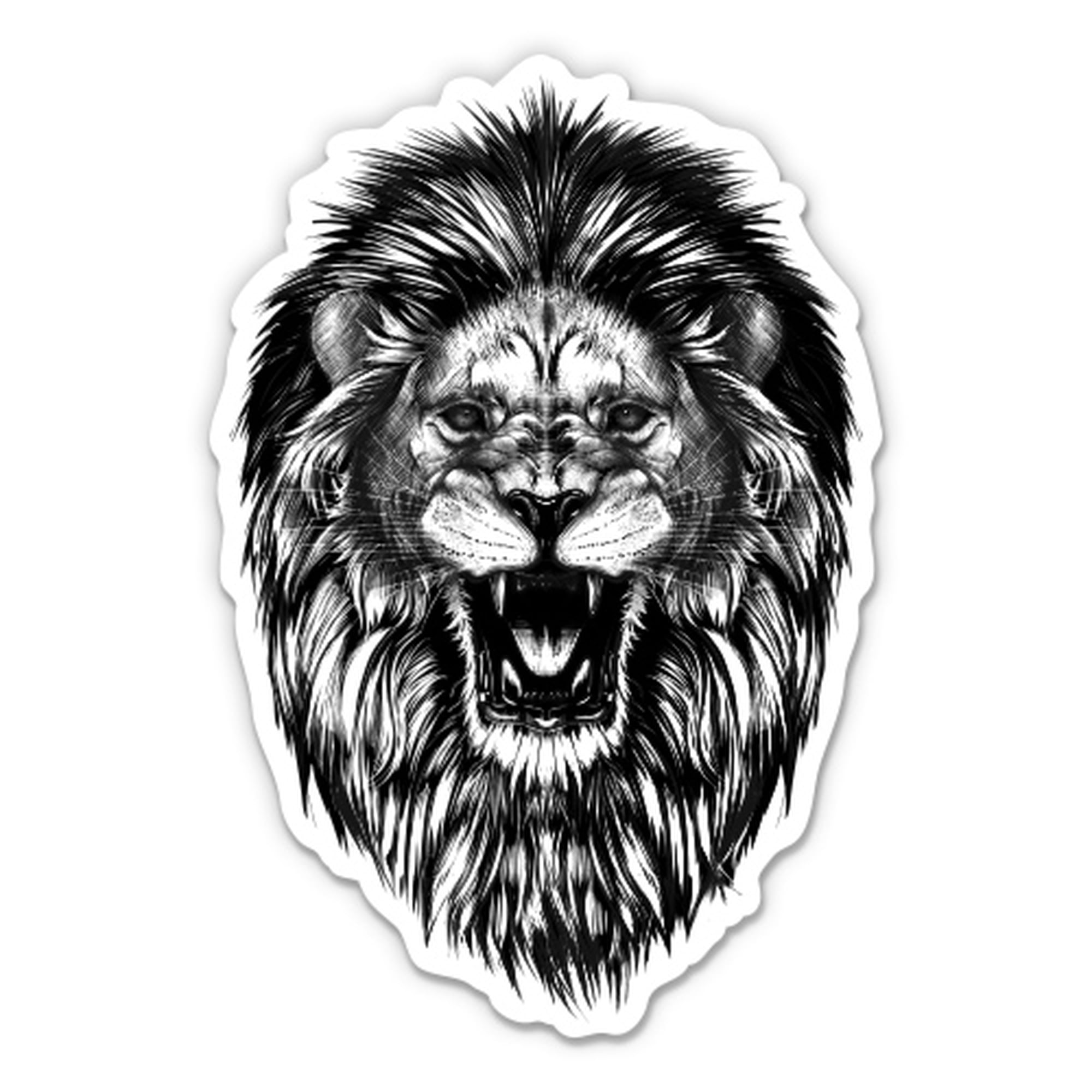 Fierce Lion Drawing
