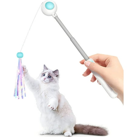 Electric Cat Fish, Retractable Cat Toys, Cat Toy, Feather Toy Cat ...