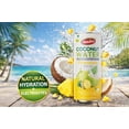 NASAMI Coconut Water with Pineapple Juice, No Sugar Added, Natural ...