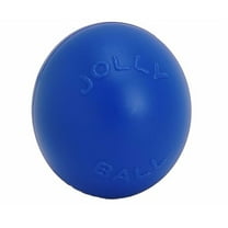 Jolly Pets Push-n-Play Jolly Ball Dog Toy, 10", Purple - Walmart.com