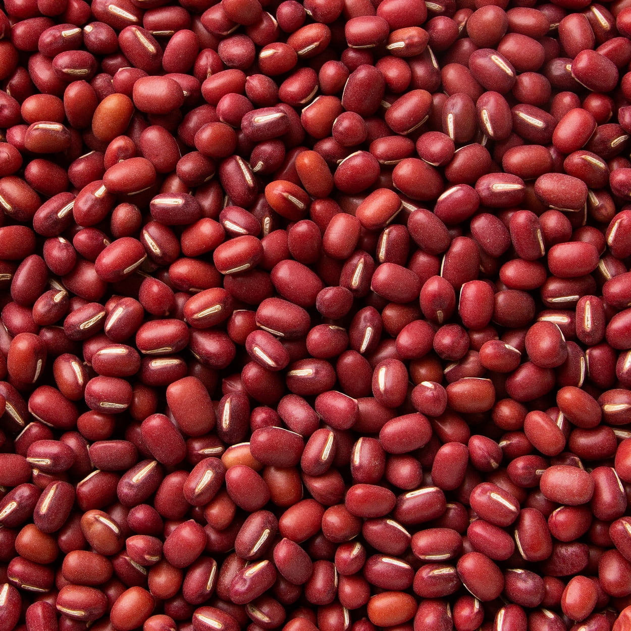 Organic Adzuki Beans | Certified Organic Adzuki | Bulk | Non GMO ...