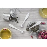 Tea Scoop (Set of 3) - Stainless Steel Measuring Spoons for Loose Leaf ...