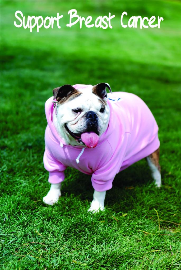 Design With Vinyl Artwork Pig Supporting Breast Cancer Sick Chemo Wall ...