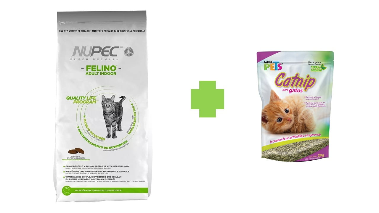 Paquete croqueta gato. Nupec Nupec indoor 5 kg + 1 catnip 28 gr ...