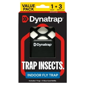Demon WP Insecticide Cypermethrin 40%, 4 Packets for Spider Prevention ...