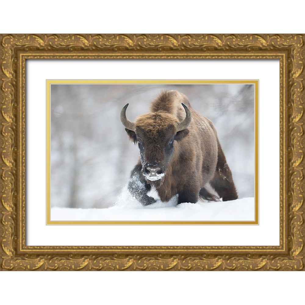 Mastahac, Sebastian 24x17 Gold Ornate Wood Framed with Double Matting ...