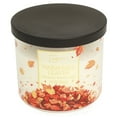 Mainstays 3-Wick Warm Fall Leave With a Leaves Design, 13-Ounce ...