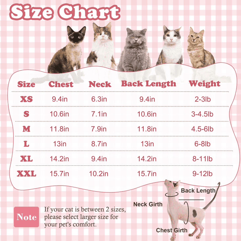 Ragdoll Cat Size Chart