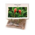 Live Pink Ginger Plant Roots 1 Pk (2 Roots Each 2"-4") Partial Shade ...