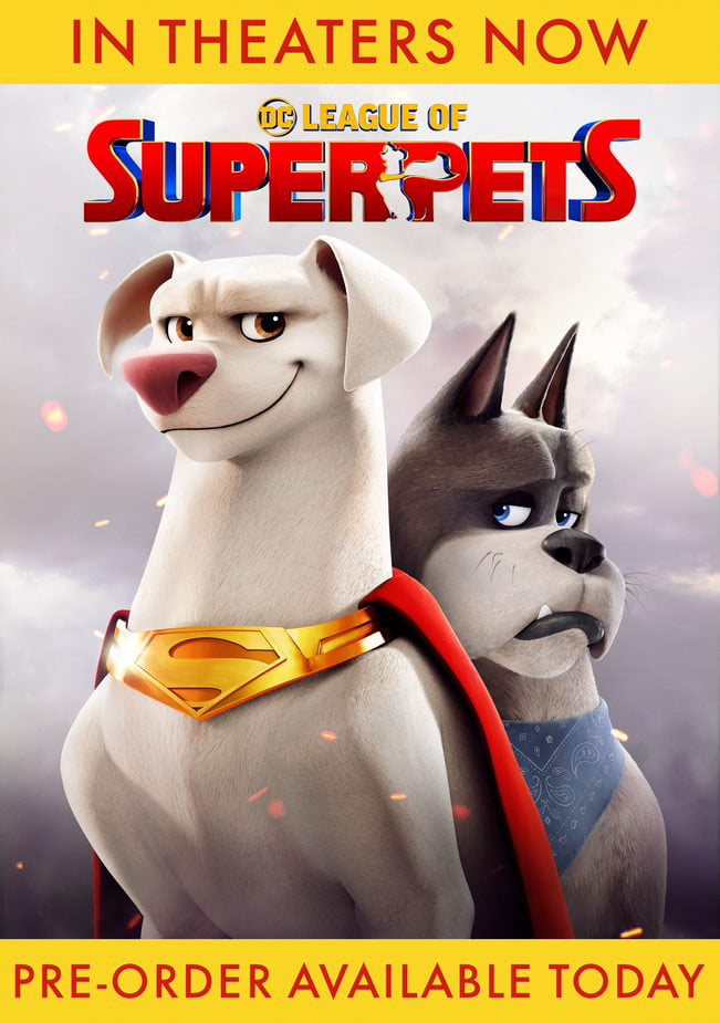 DC League of Super-Pets (DVD) - Walmart.com