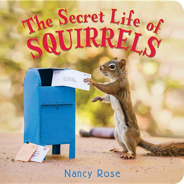 The Secret Life of Squirrels (Board Book) - Walmart.com - Walmart.com