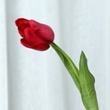 Farfi Decorative Simulation Tulip No-watering DIY Ornamental Bonsai ...