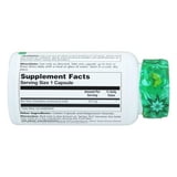 Solaray Herbal Red Root Jersey Tea for Asthma & Bronchitis Relief, 100 ...