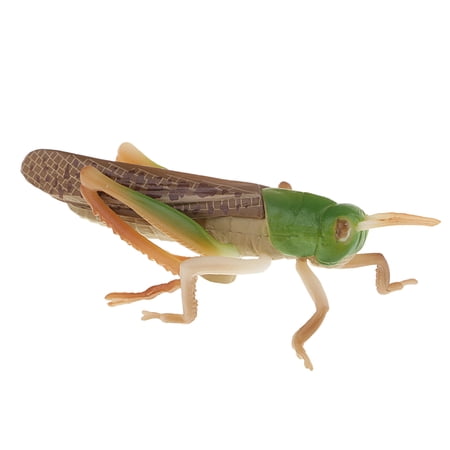 Insect Animals Model Action Figure Figurine Miniature for Party ...