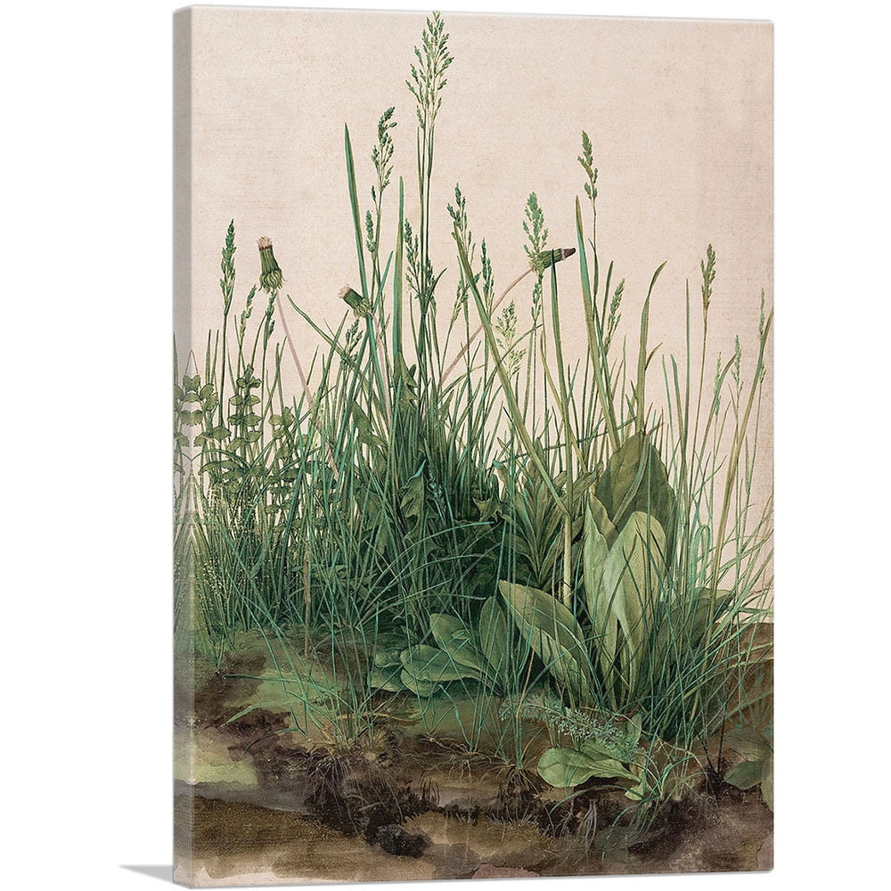 ARTCANVAS The Large Piece of Turf 1503 Canvas Art Print by Albrecht ...