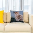 3drose, Orange and White Striped Tabby Kitten Staring at Butterfly with ...