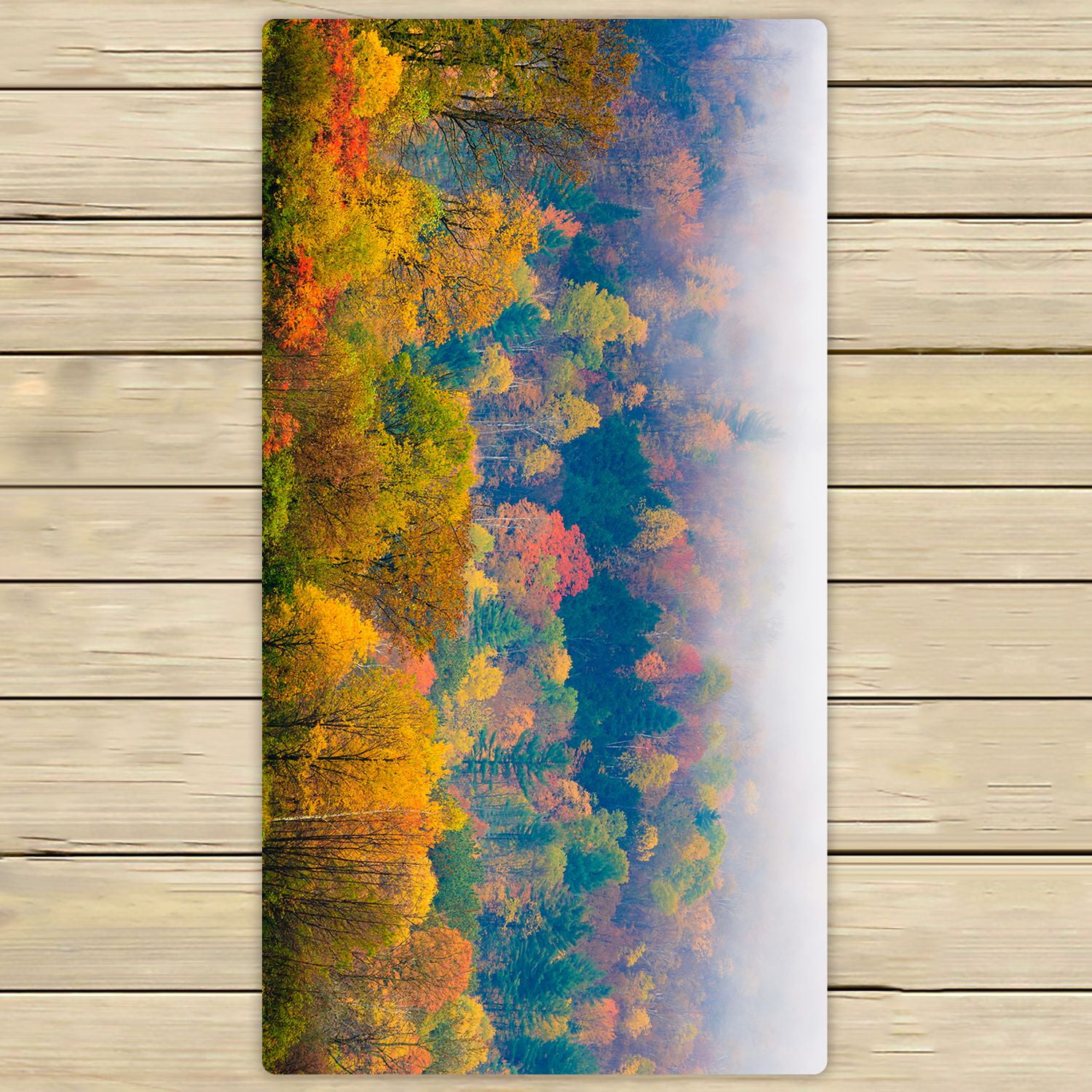 PHFZK Forest Landscape Towel, Field of Trees during Fall Foliage Hand ...