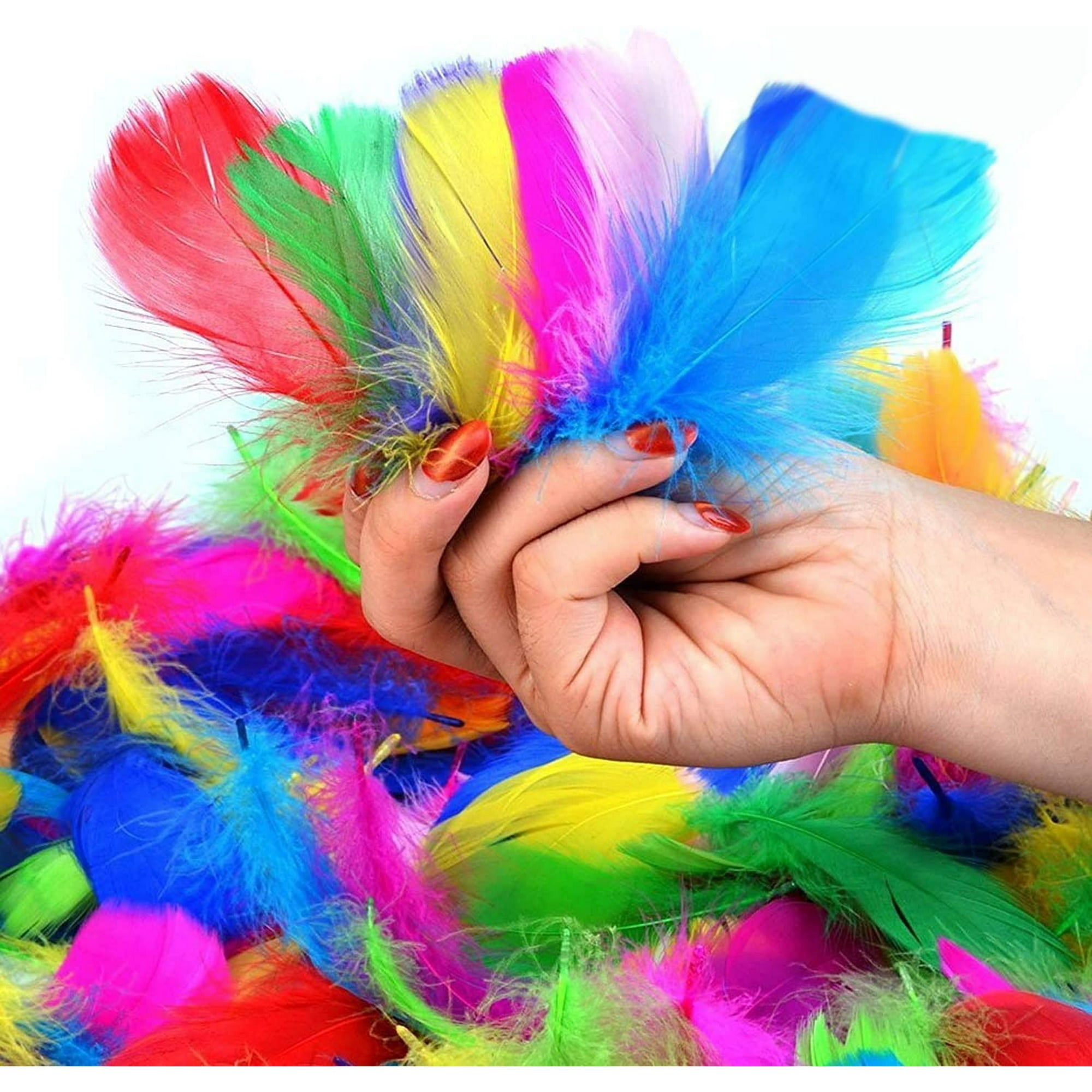 Click here for Heyrekt Colourful Feathers  Pack Of 300 Colourful... prices