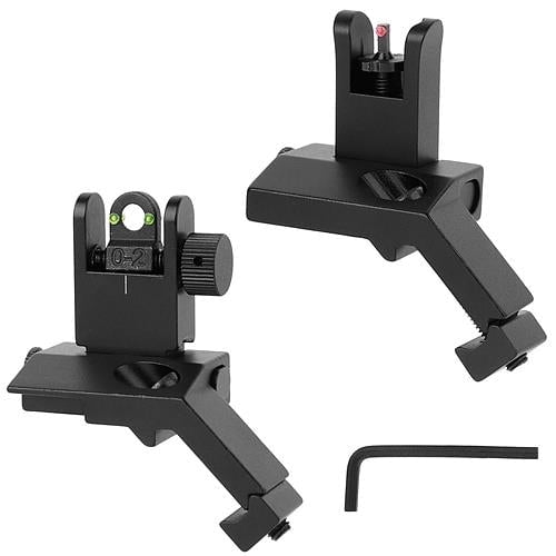 Back Up Iron Sights