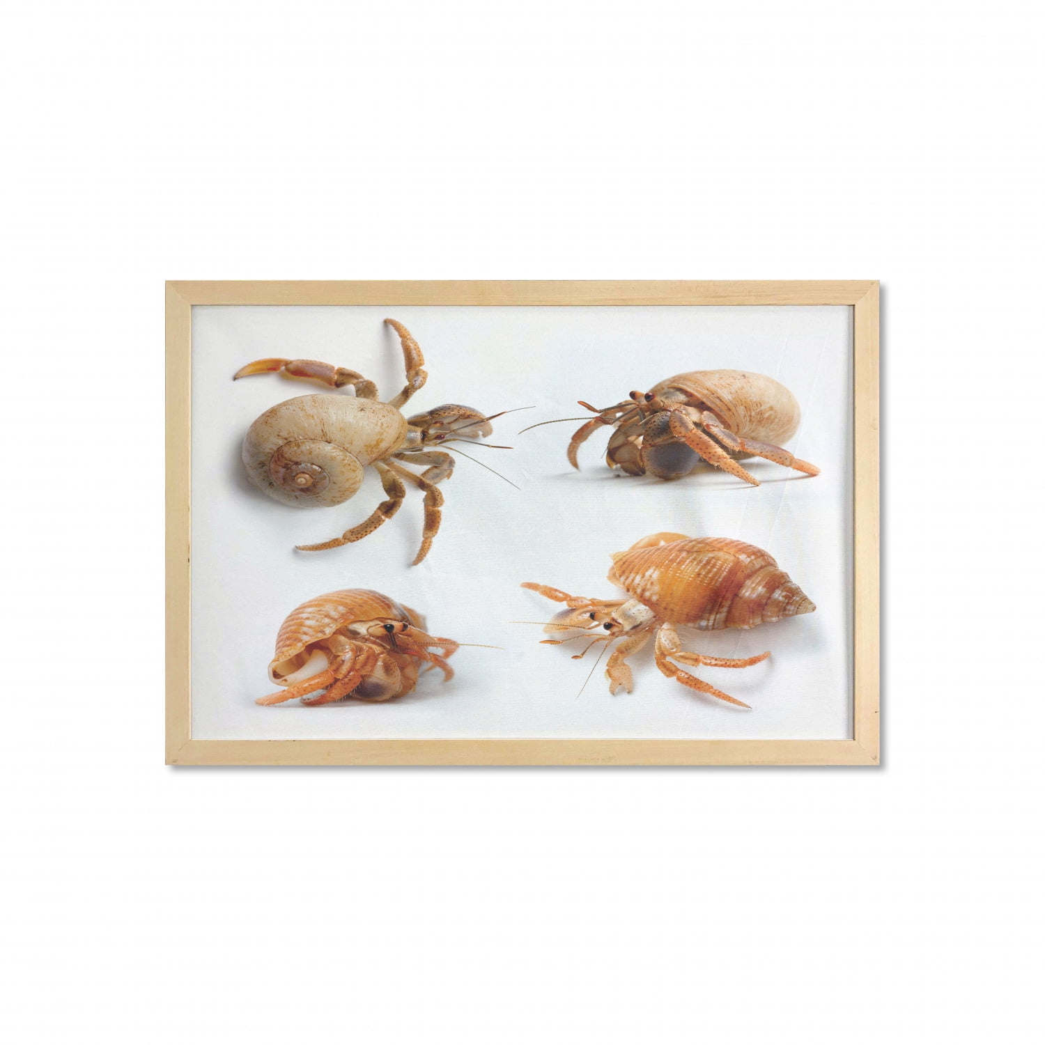 Crabs Wall Art with Frame, Sea Animals Theme Hermit Crabs Pattern from ...